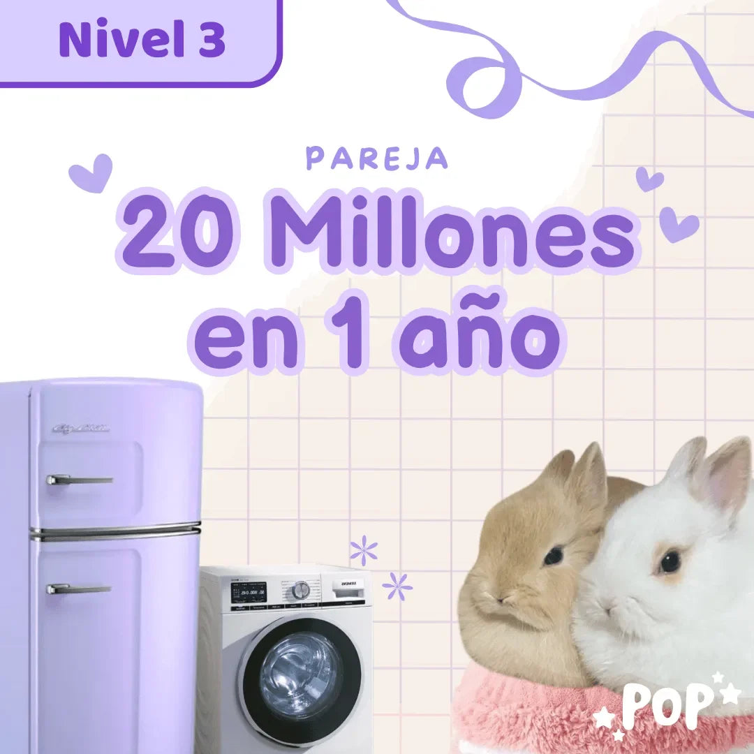20 Millones en 1 año (Parejas) – Plantillas pop